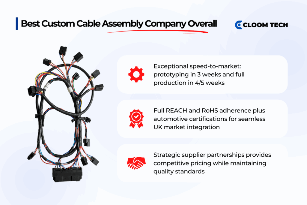 Top Custom Cable Assemblies Companies in the UK